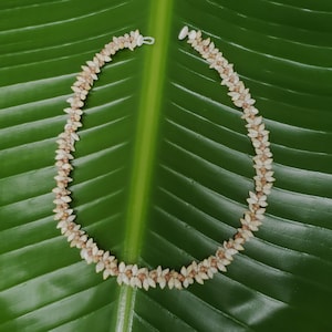 Kahelelani Shell Laiki Shell Lei Kahelelani Necklace Rare Laike Shell ...