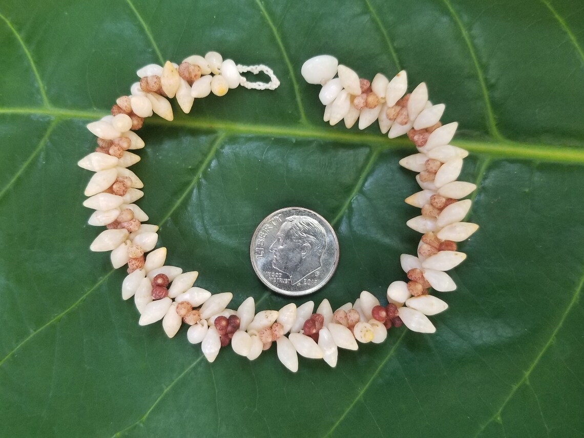 Kahelelani Shell Bracelet: Laiki Shells Kahelelani Shells, Puka Shells ...