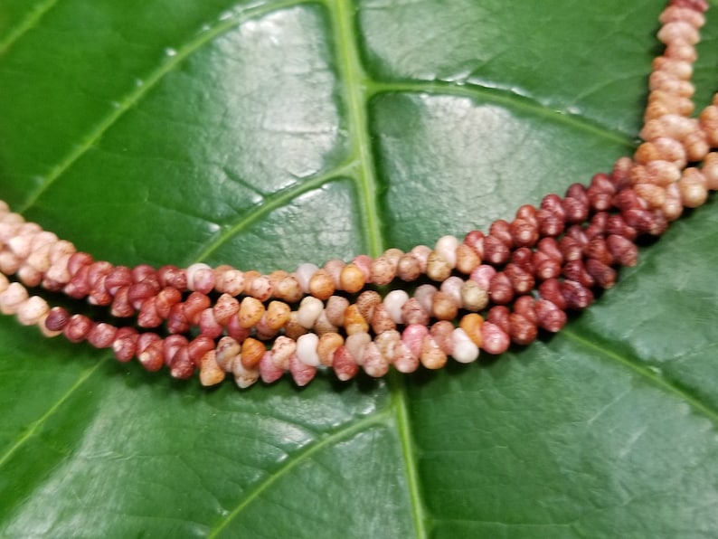 Kahelelani Shell Lei: Rare Hawaiian Shell Necklace, Kauai Jewelry - Etsy