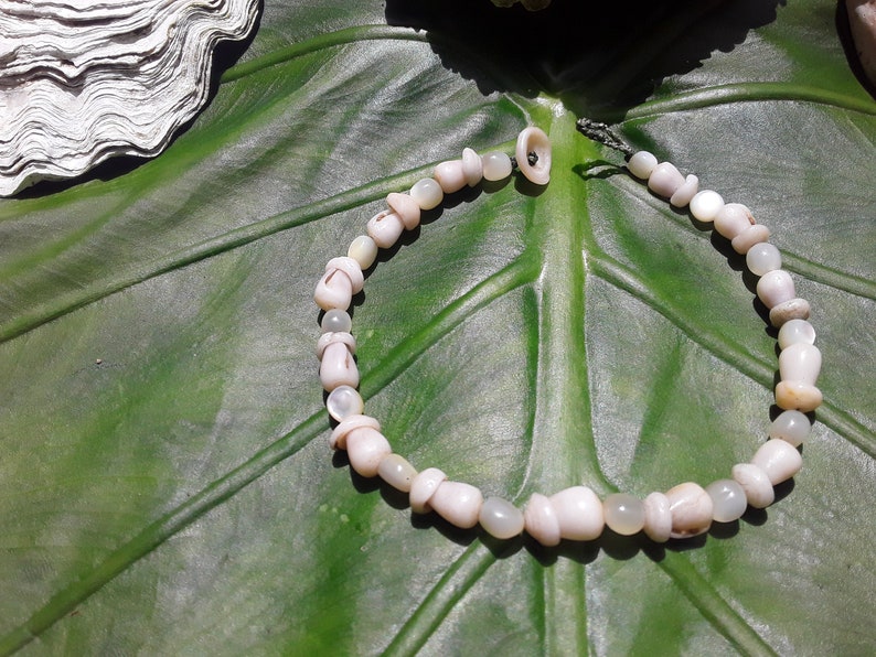 Puka Shell Bracelet Hawaii Shell Jewelry Cone Shell Beach - Etsy