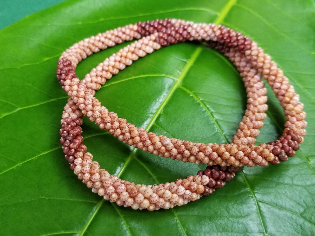 Shell Necklace Rare Shells Shell Lei Kauai Shells Hawaiian Shell Lei ...