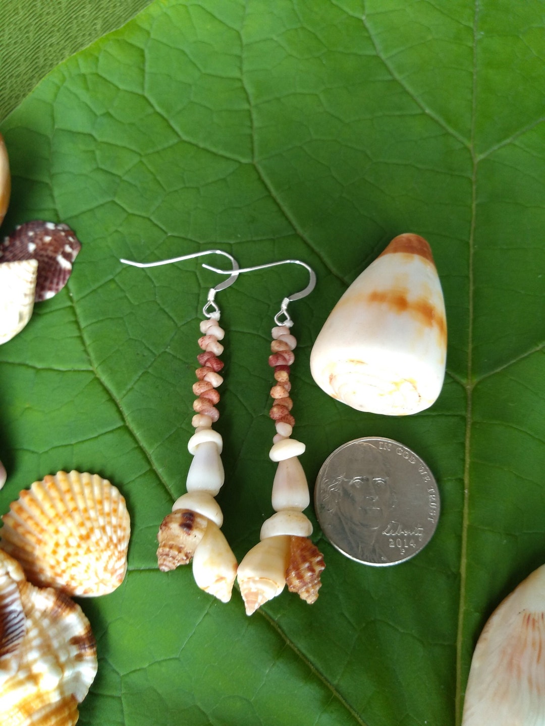 Kahelelani Shell Earrings Niihau Shell Earrings Hawaiian Shell Jewelry ...