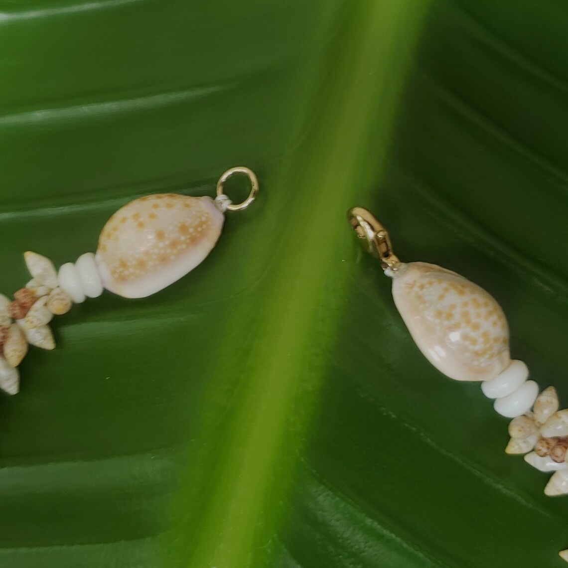 Kahelelani Shell Lei: Laiki Shell Necklace, Traditional Hawaiian ...