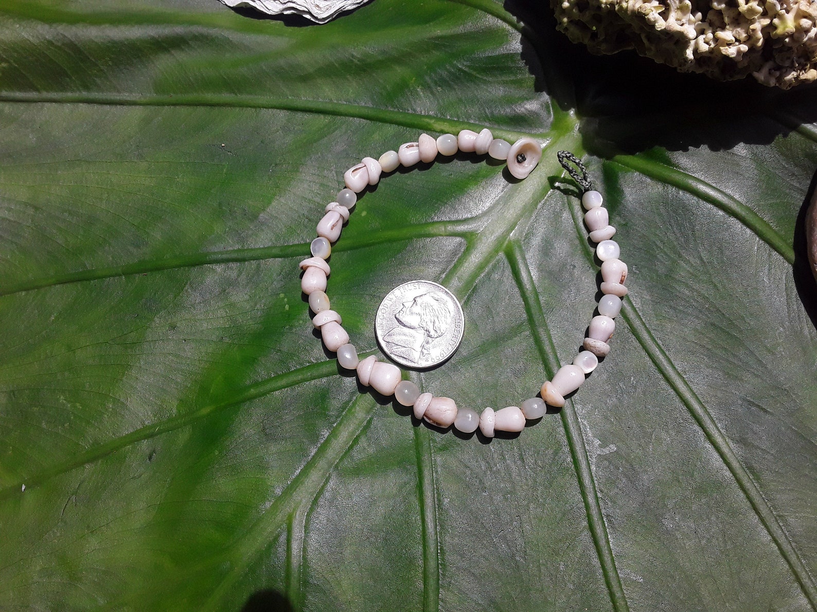 Puka Shell Bracelet Hawaii Shell Jewelry Cone Shell Beach - Etsy