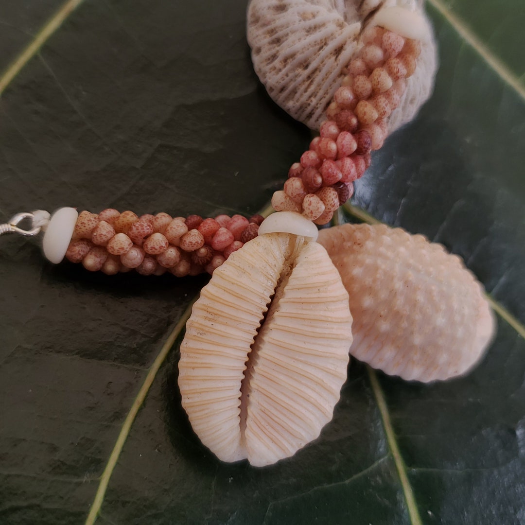 Shell Earrings Granulate Cowrie Shells Puka Shell Earrings Kahelelani ...