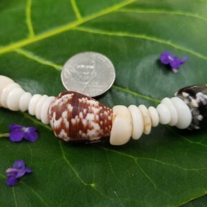 Puka Shell Necklace Puka Shell Lei Kauai Puka Shell Jewelry Rare Shells ...