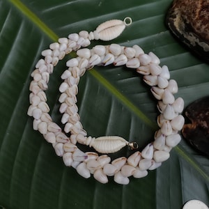 Puka Shell Necklace Puka Shell Lei Kauai Puka Shell Jewelry Rare Shells ...