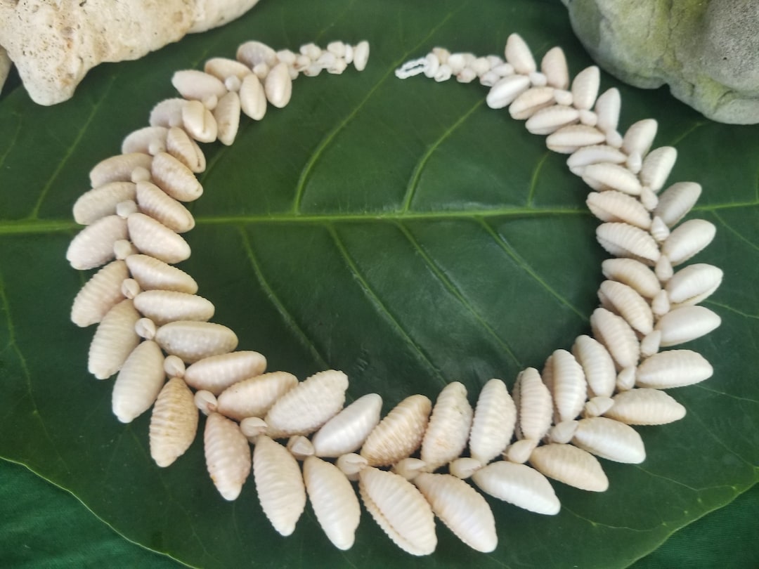 Shell Jewelry Hawaiian Granulate Cowrie Shell Necklace Shell Lei Rare ...