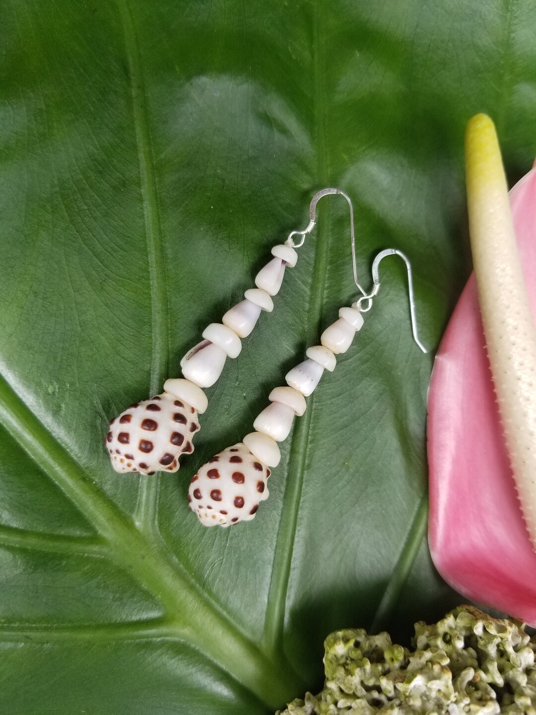 Puka Shell Earrings: Dwarf Cone Shells, Puka Shells, Drupe Shells, Sterling Silver, Hawaiian ...