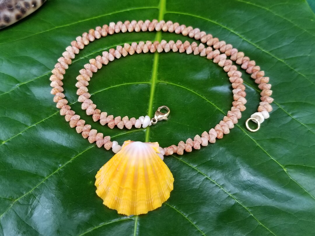 Sunrise Shell Lei Kauai Kahelelani Shell Lei Hawaii Shells Beach ...