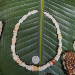 Puka Shell Necklace Puka Shell Lei Kauai Puka Shell Jewelry Rare Shells ...