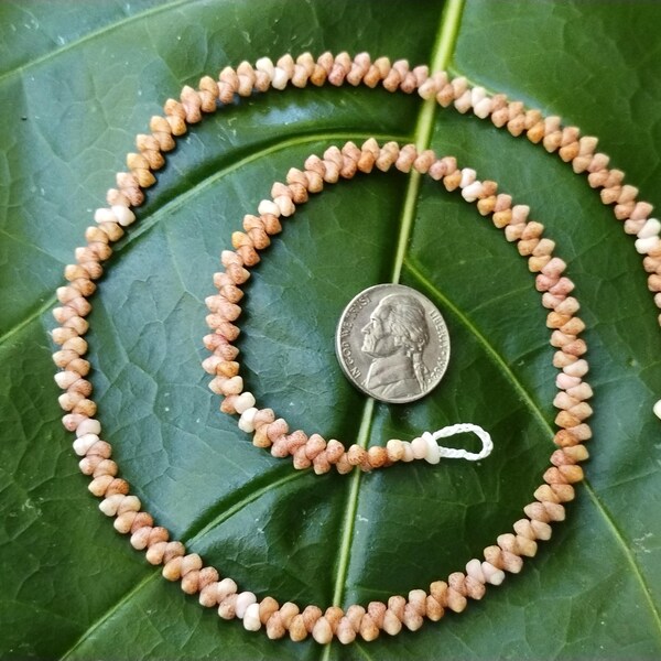 Niihau Shell Necklace - Etsy