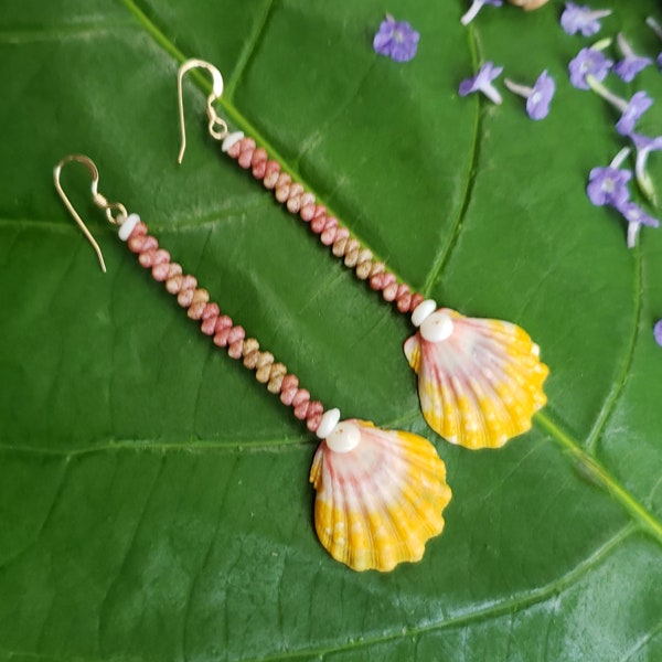 Sunrise Shells - Etsy