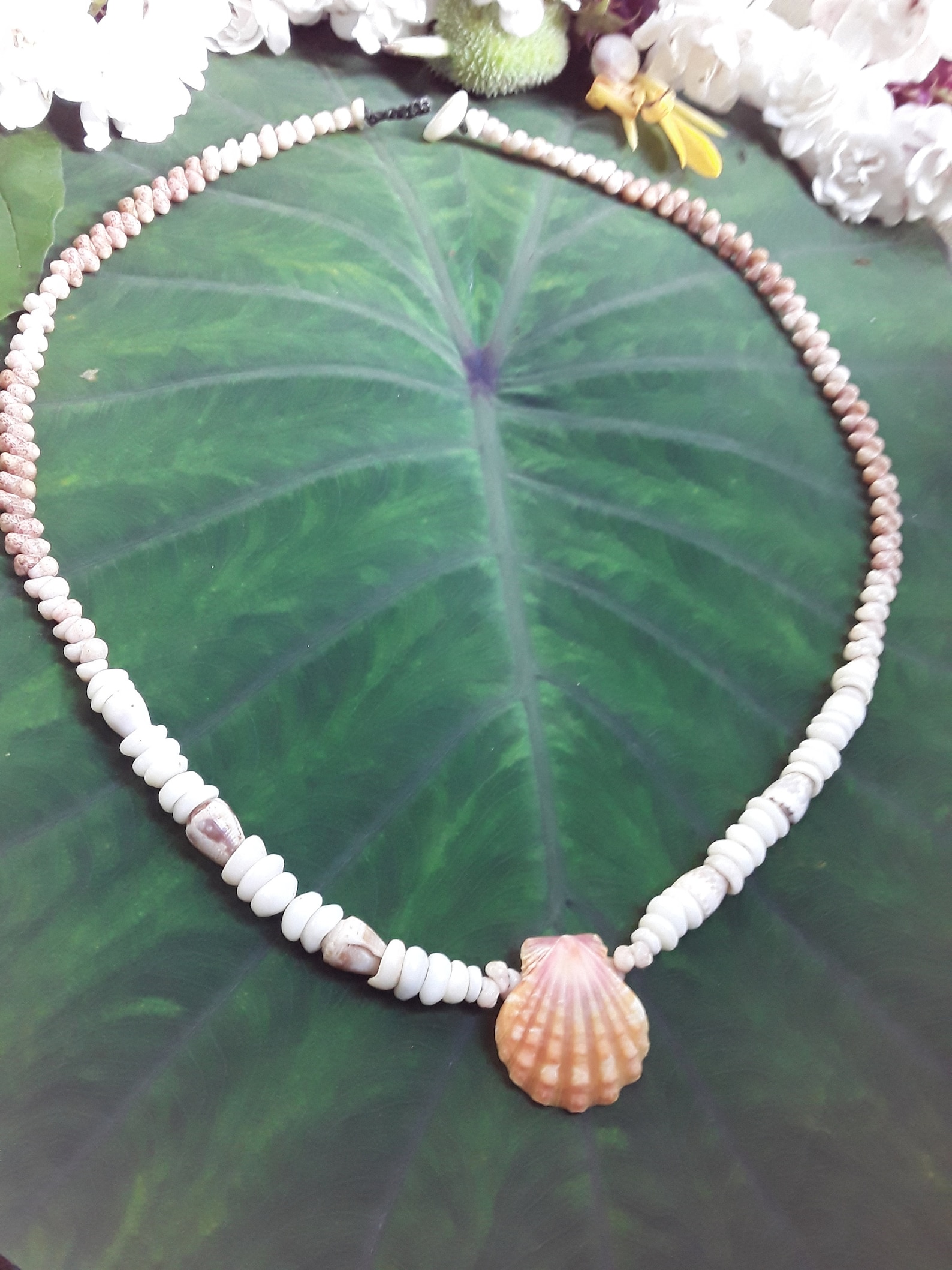 Sunrise Shell Lei Kauai Kahelelani Shell Lei Hawaii Shells - Etsy