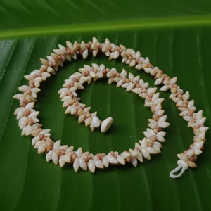 Kahelelani Shell Laiki Shell Lei Kahelelani Necklace Rare Laike Shell ...