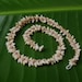 Kahelelani Shell Laiki Shell Lei Kahelelani Necklace Rare Laike Shell ...