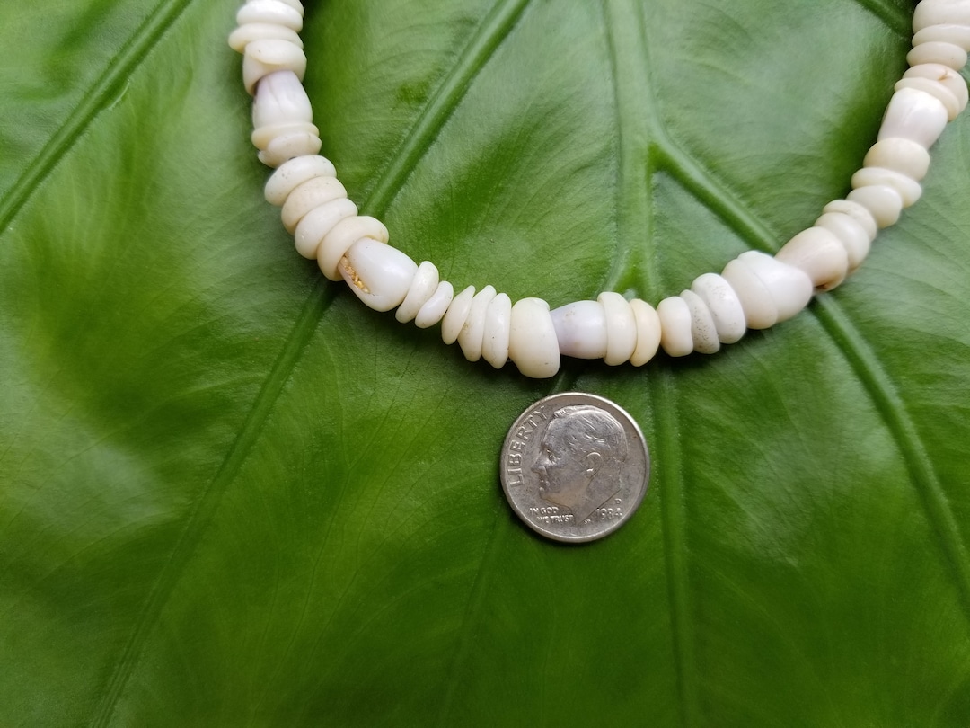Puka Shell Anklet: Puka Shells, Dwarf Cone Shells,hawaiian Puka Shell Jewelry, Cone Shell Anklet ...