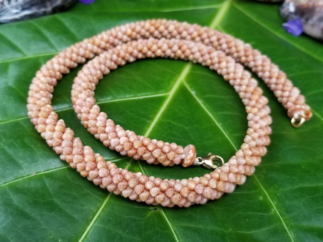 Shell Necklace Rare Shells Shell Lei Kauai Shells Hawaiian Shell Lei ...