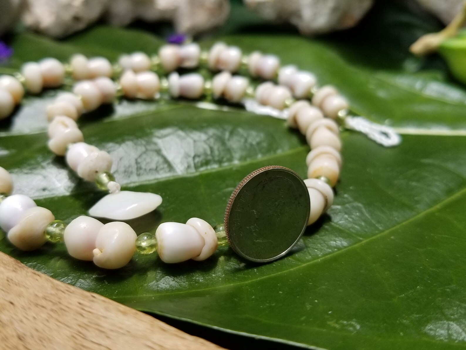 Puka Shell Necklace Puka Shell Lei Kauai Puka Shell Jewelry - Etsy