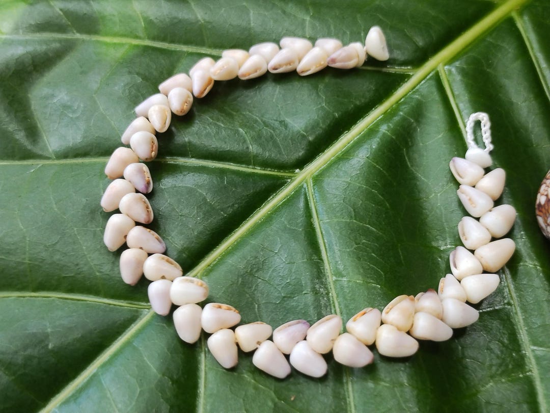 Kauai Puka Shell Anklet: Hawaiian Beach Jewelry, Dwarf Cone Shell ...