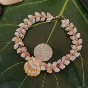 Momi Shell Bracelet Kahelelani Shell Bracelet Hawaiian Sunrise Shell ...