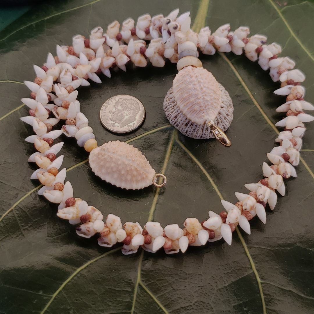 Shell Necklace Kauai Laiki Shell Lei Kahelelani Necklace Rare Laike ...