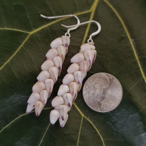 Puka Shell Earrings Hawaiian Style Jewelry Eco Friendly Collected Handmade on Kauai Mermaids ...