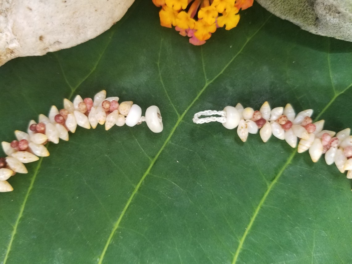 Laiki Shell Lei: Kahelelani Shells, Laiki Shells, Puka Shells, 50lb ...