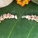 Laiki Shell Lei: Kahelelani Shells, Laiki Shells, Puka Shells, 50lb ...