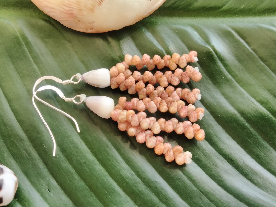 Kauai Kahelelani Shells Kahelelani Shell Earrings Kauai Ni'ihau Shell ...