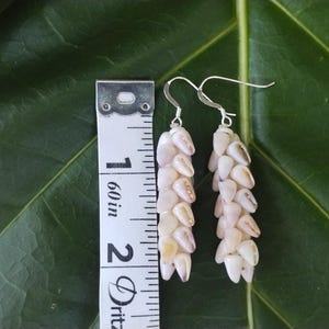 Puka Shell Earrings Hawaiian Style Jewelry Eco Friendly Collected Handmade on Kauai Mermaids ...