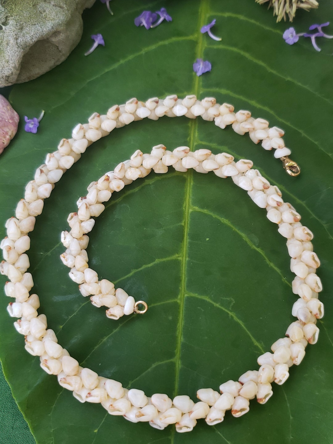 Kauai Momi Shell Lei Necklace: Traditional Hawaiian Jewelry - Etsy