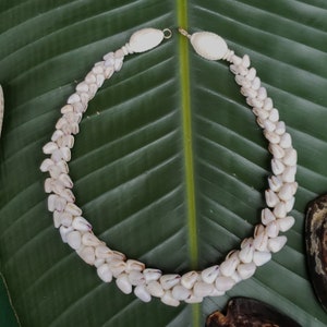 Puka Shell Necklace Puka Shell Lei Kauai Puka Shell Jewelry Rare Shells ...