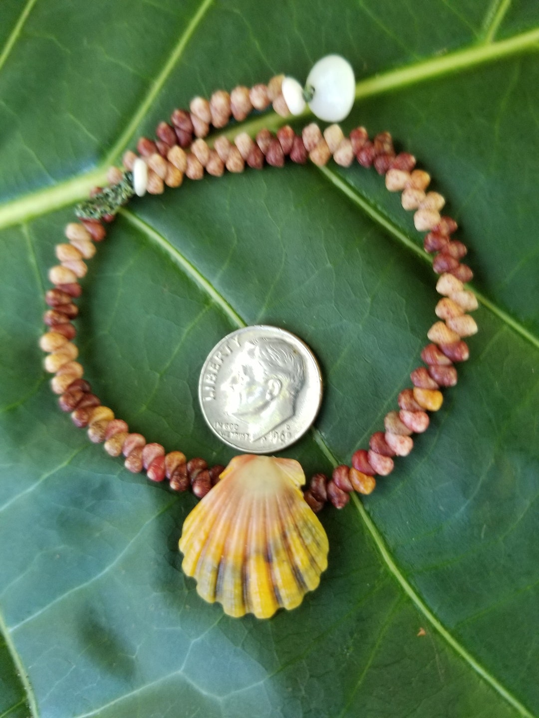 Sunrise Shell Bracelet Shell Bracelet Puka Shell Jewelry - Etsy