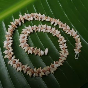 Kahelelani Shell Laiki Shell Lei Kahelelani Necklace Rare Laike Shell ...