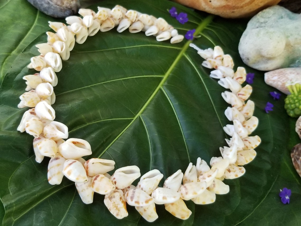 Alilea Shell Lei Hawaiian Strombus Shell Necklace Shell Lei Rare Shells ...