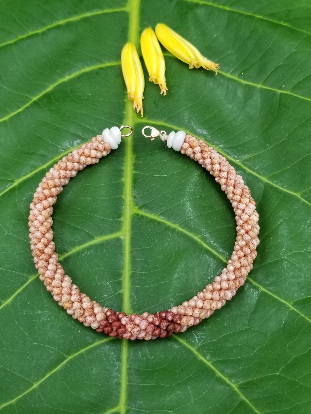 Kahelelani Shell Bracelet - Kauai Beach Jewelry Kauai Shells Rare Kauai ...