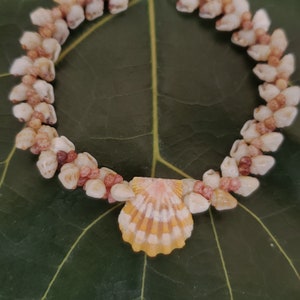 Momi Shell Bracelet Kahelelani Shell Bracelet Hawaiian Sunrise Shell ...