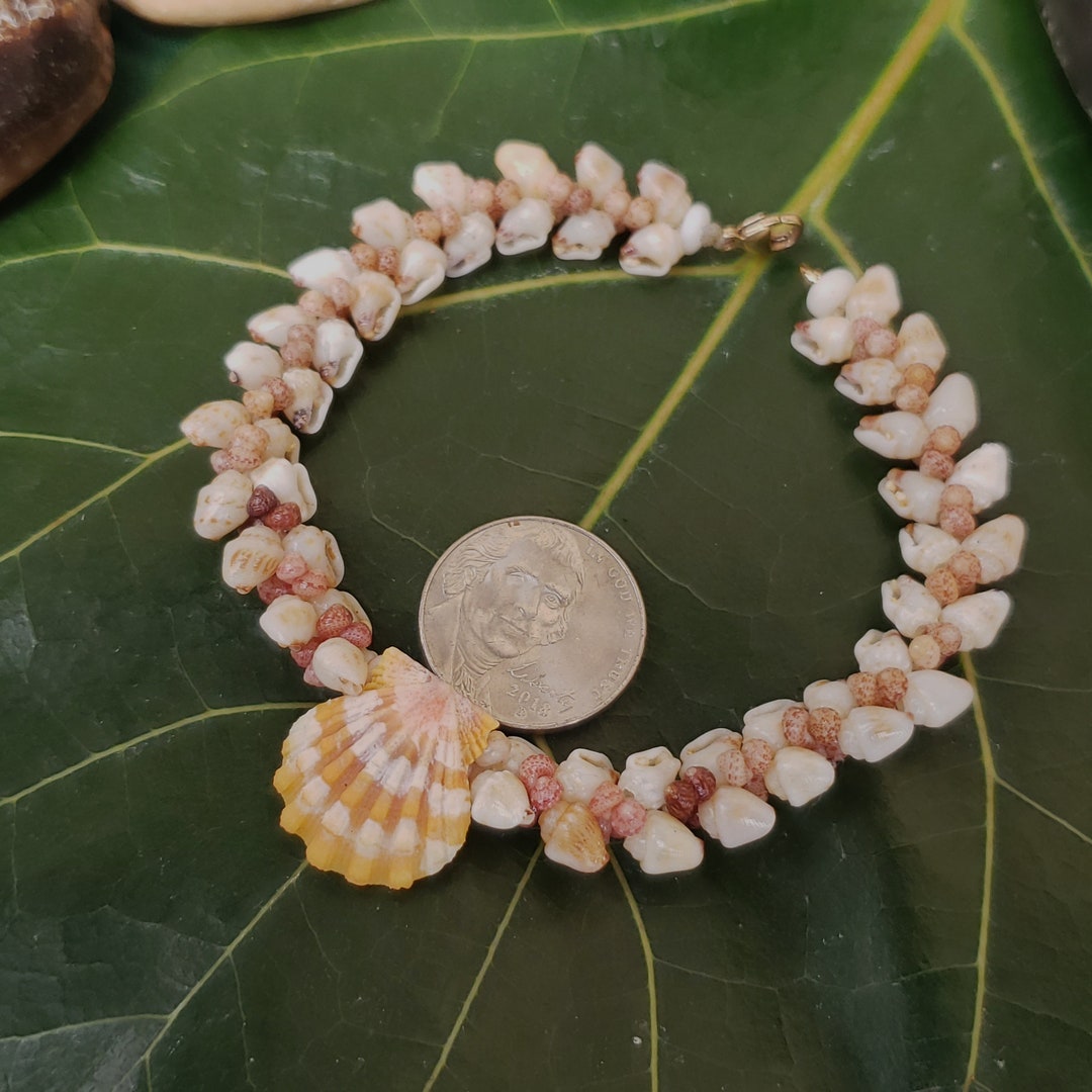 Momi Shell Bracelet Kahelelani Shell Bracelet Hawaiian Sunrise Shell ...