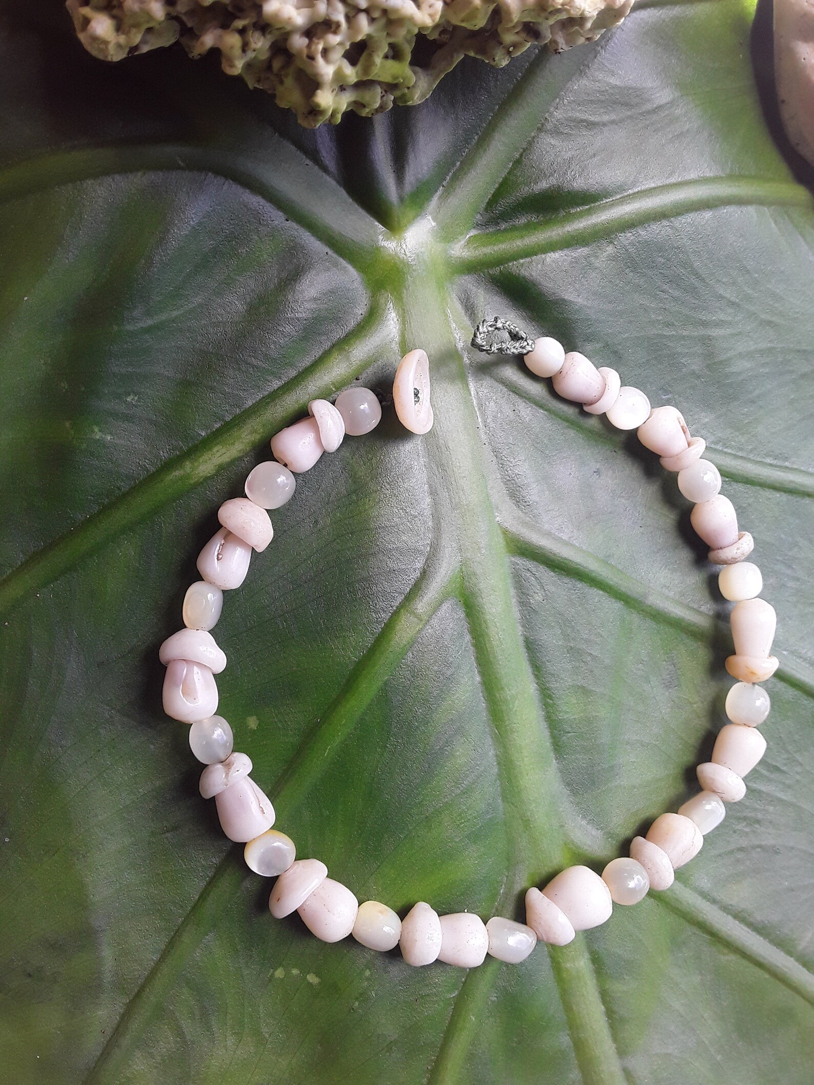 Puka Shell Bracelet Hawaii Shell Jewelry Cone Shell Beach | Etsy