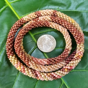 Kahelelani Shell Lei: 25.5' Inch, Kauai Shells, 50lb Nylon String, Four ...
