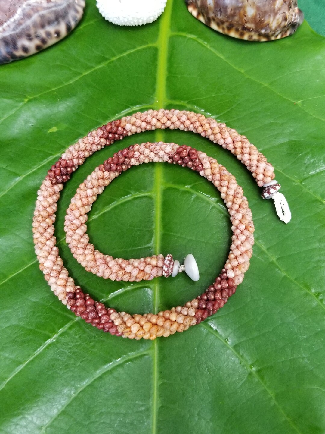 Kahelelani Shell Lei: Kahelelani Shells, Sundail Shells, Puka Shells ...
