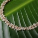 Kahelelani Shell Laiki Shell Lei Kahelelani Necklace Rare Laike Shell ...