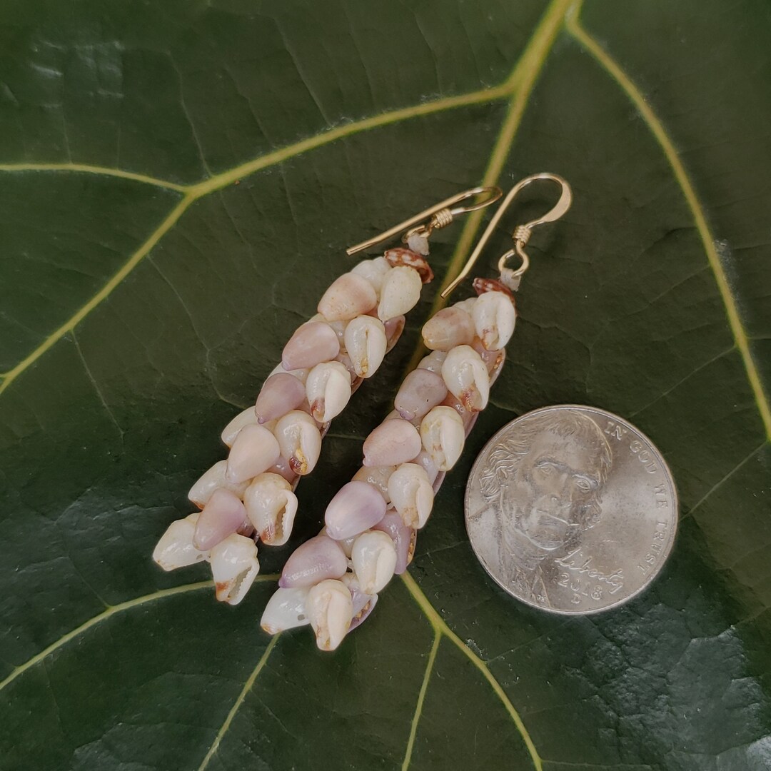 Momi Shell Earrings Hawaiian Style Jewelry Puka Shell Earring Momi ...