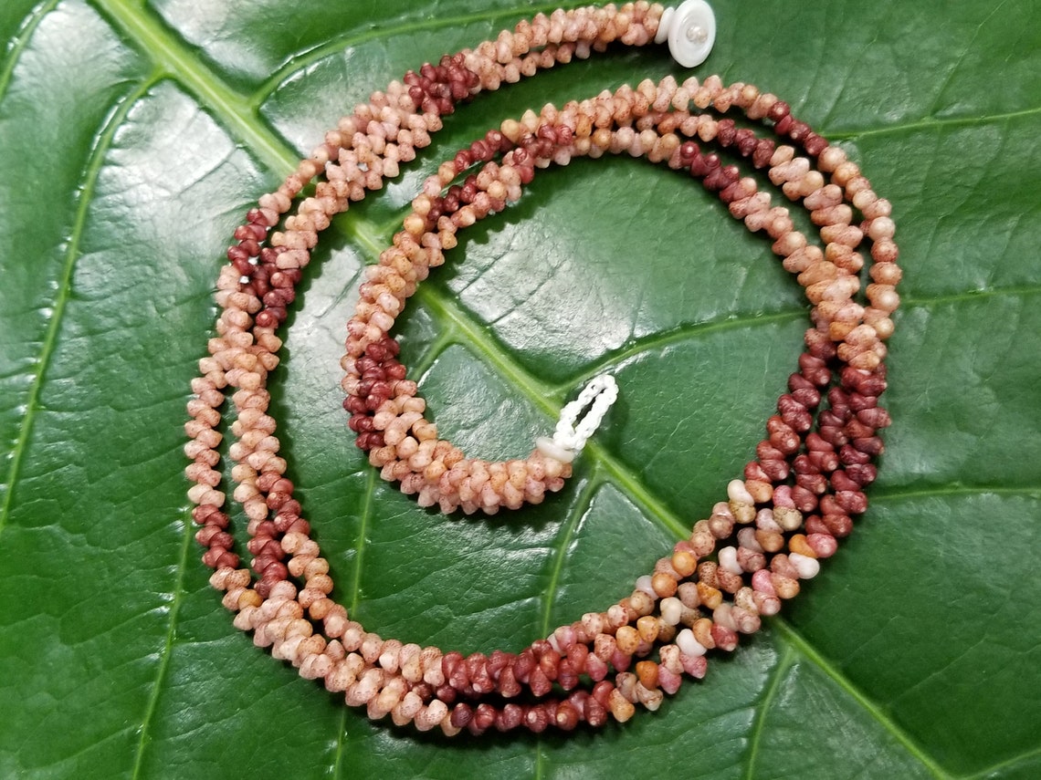 Kahelelani Shell Lei: Rare Hawaiian Shell Necklace, Kauai Jewelry - Etsy