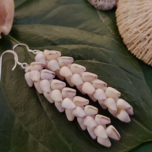 Shell Earrings Hawaiian Style Jewelry Eco Friendly Collected Kauai ...