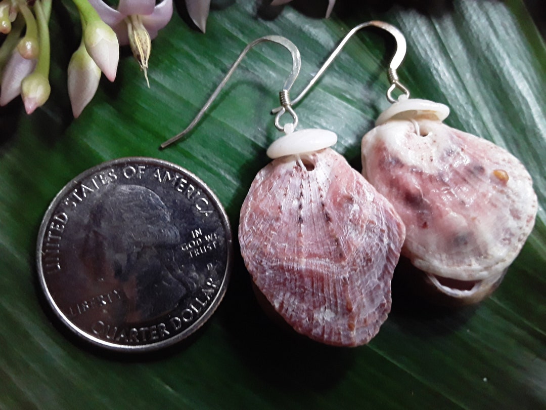 Puka Shell Earrings Cowrie Shell Earrings Hawaiian Style Kauai - Etsy