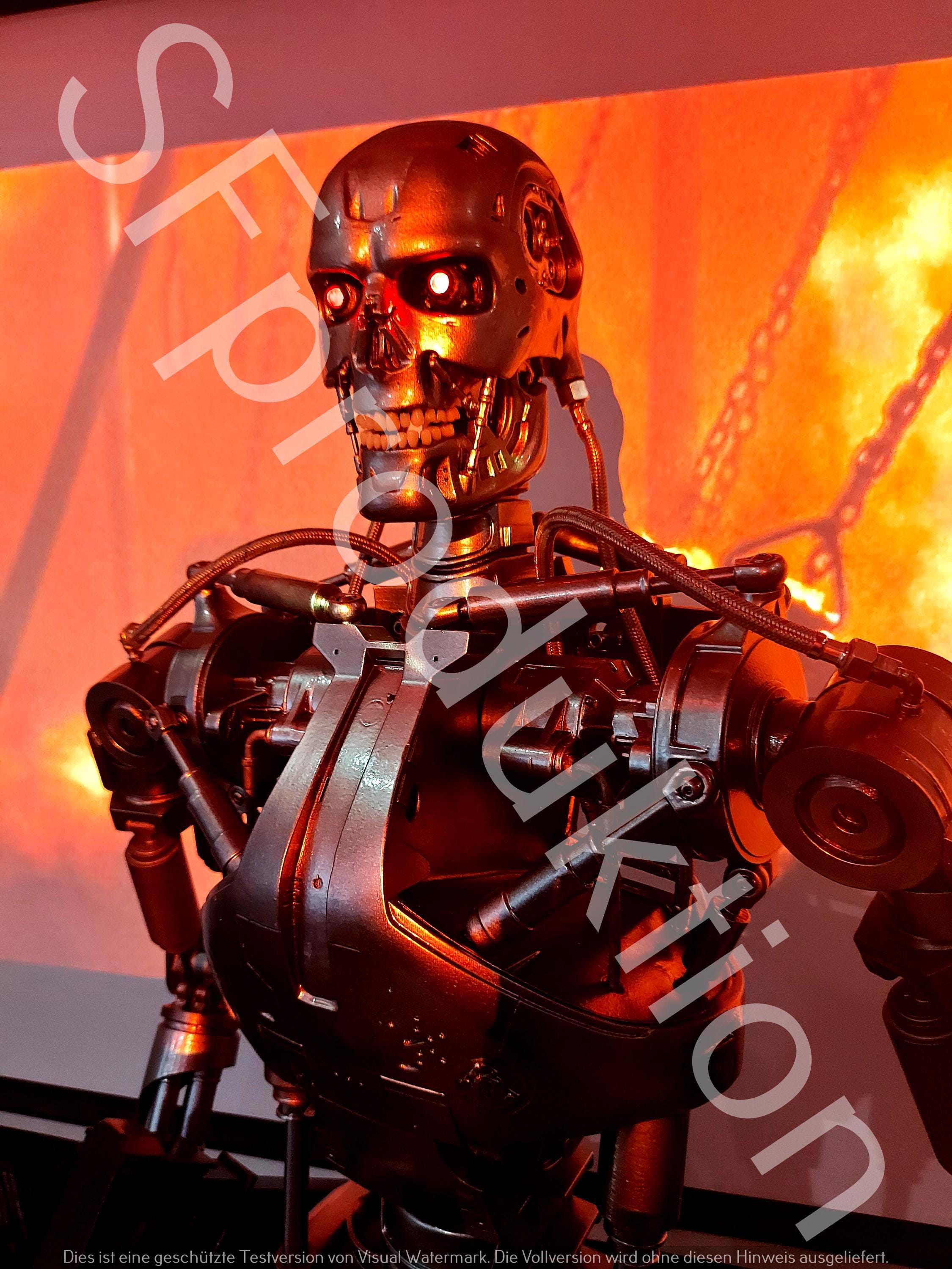 T2 Terminator T800 Endoskeleton 1:1 Lifesize Movable Kit // Replica ...