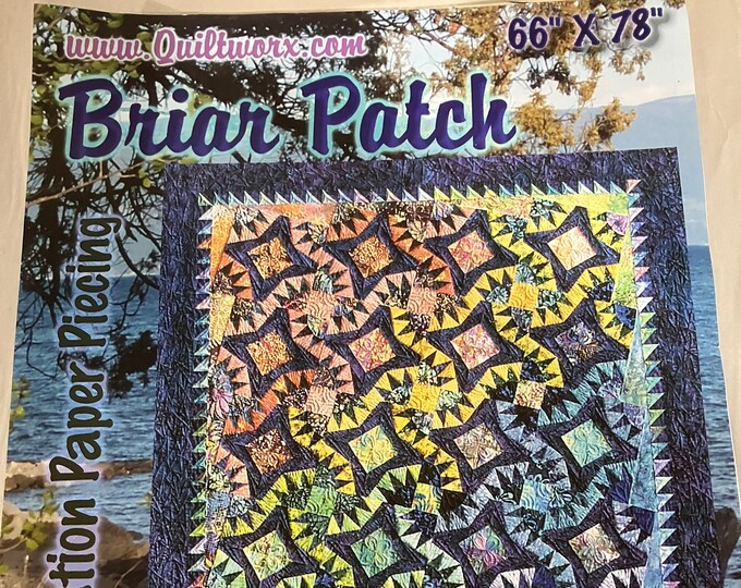 Briar Patch by Judy Niemeyer Quilting and Quiltworx.com - Etsy