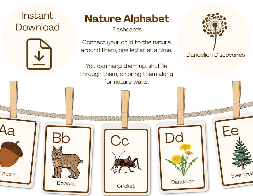 Nature Alphabet Flashcards | Printable ABC Cards (digital Download) - Etsy